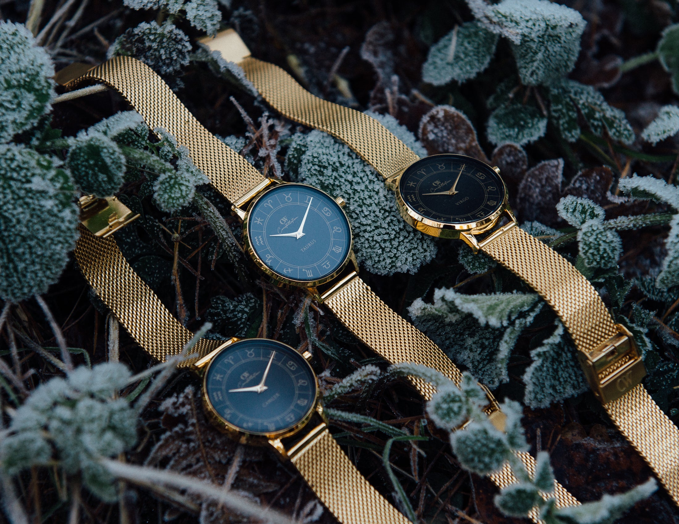 Ladies Capricorn Astrology Watch - The Constellation CAPRICORN 32 ...